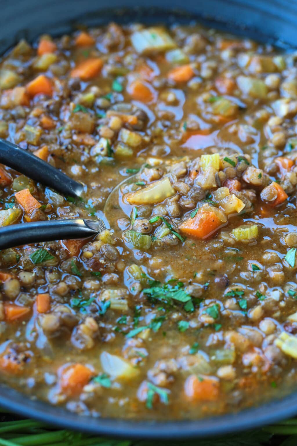 French Lentil Soup | Mantitlement