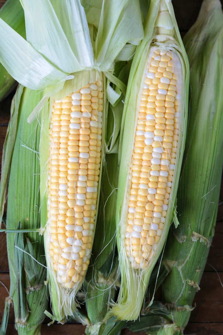 How To Freeze Corn On The Cob Without Blanching | Mantitlement