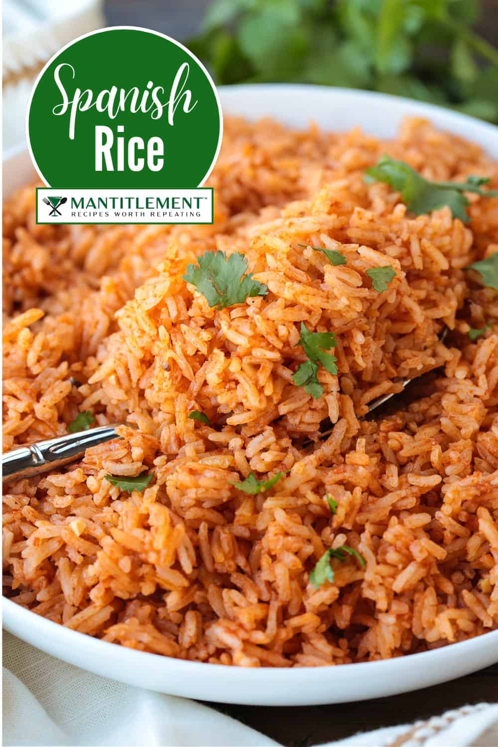 Easy Spanish Rice Recipe | Mantitlement