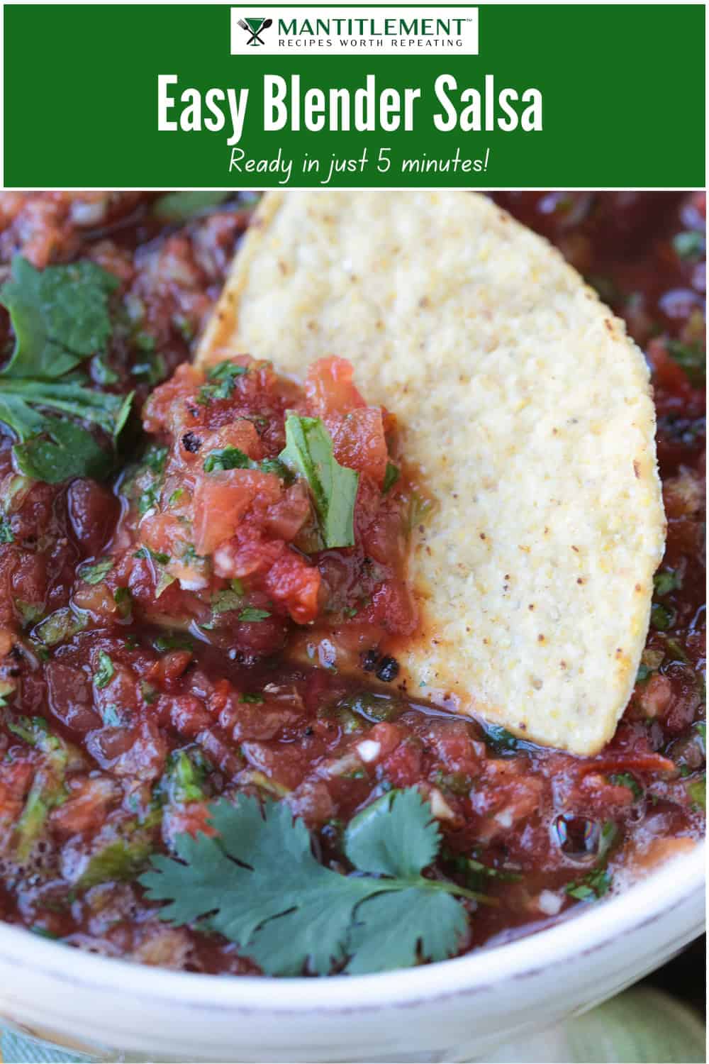 Blender Salsa | Mantitlement